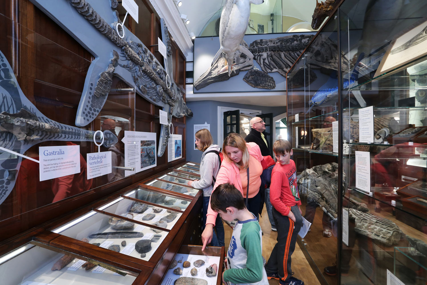 Lyme Regis Museum - Smith & Jones museum and heritage centre designers
